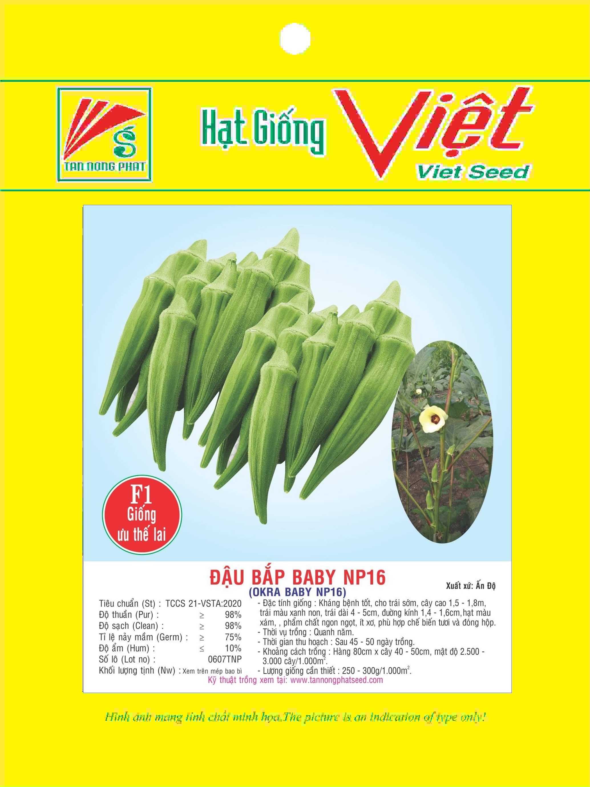 HẠT GIỐNG ĐẬU BẮP - OKRA SEEDS